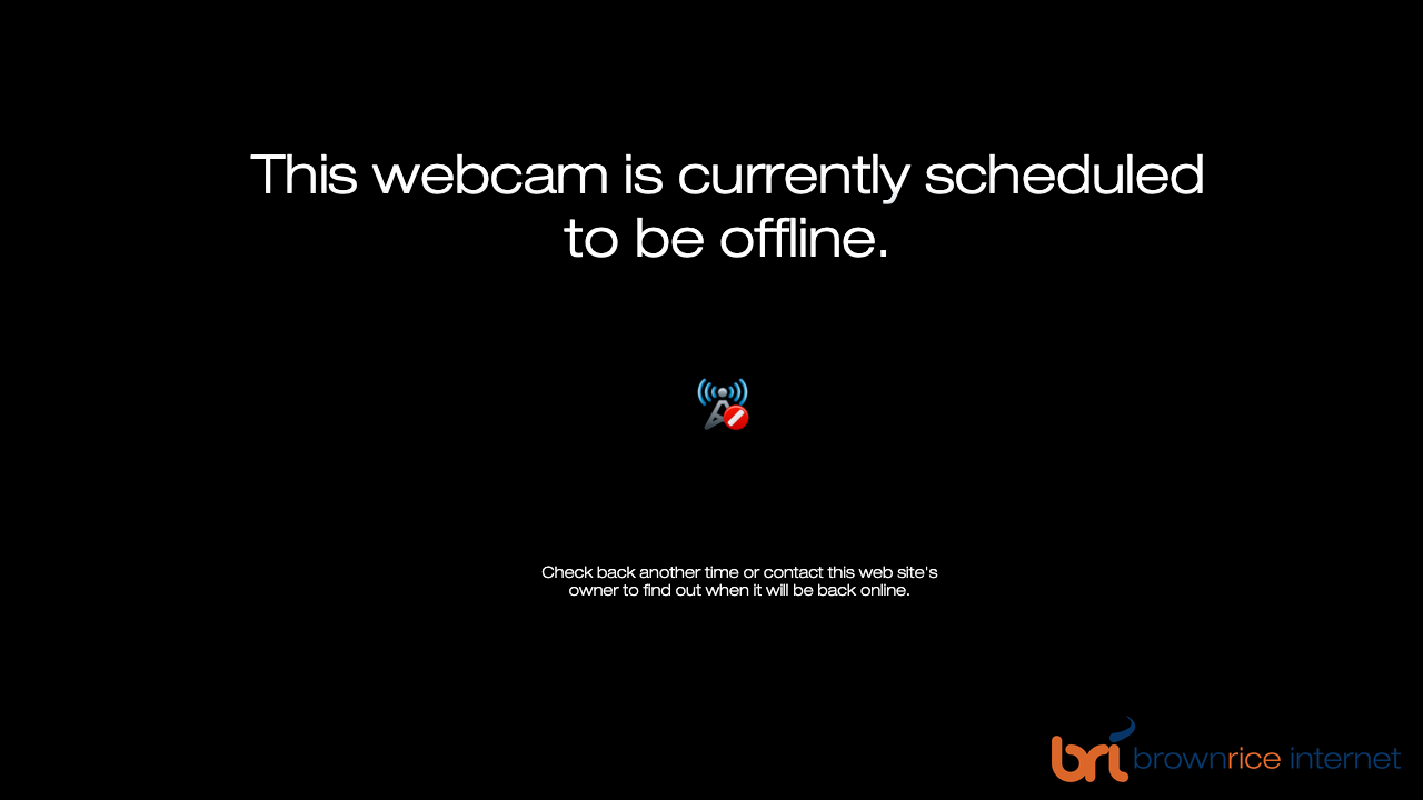 Web camera video hosting by Brownrice Internet